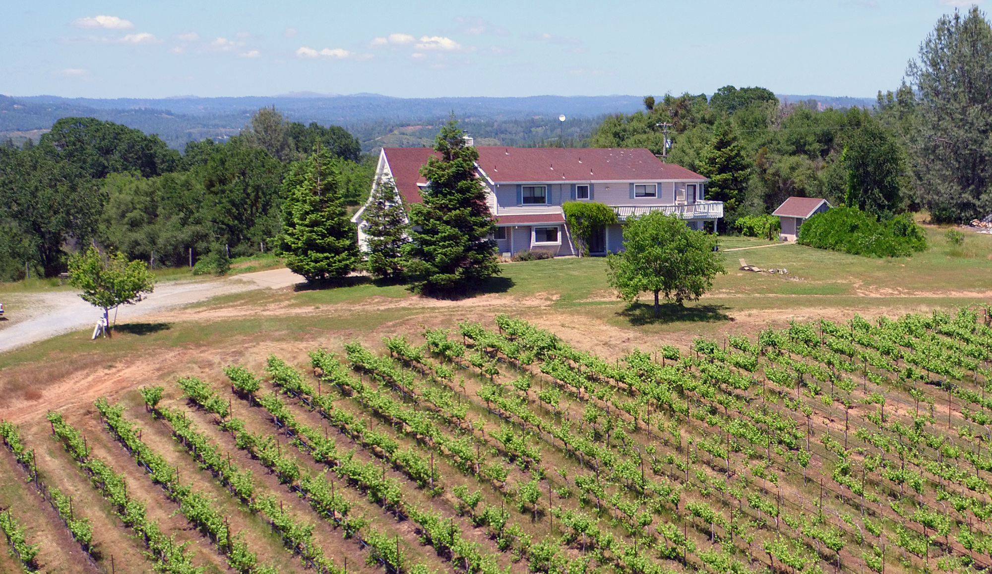 Premium Vineyard And Hilltop Setting - Vintroux