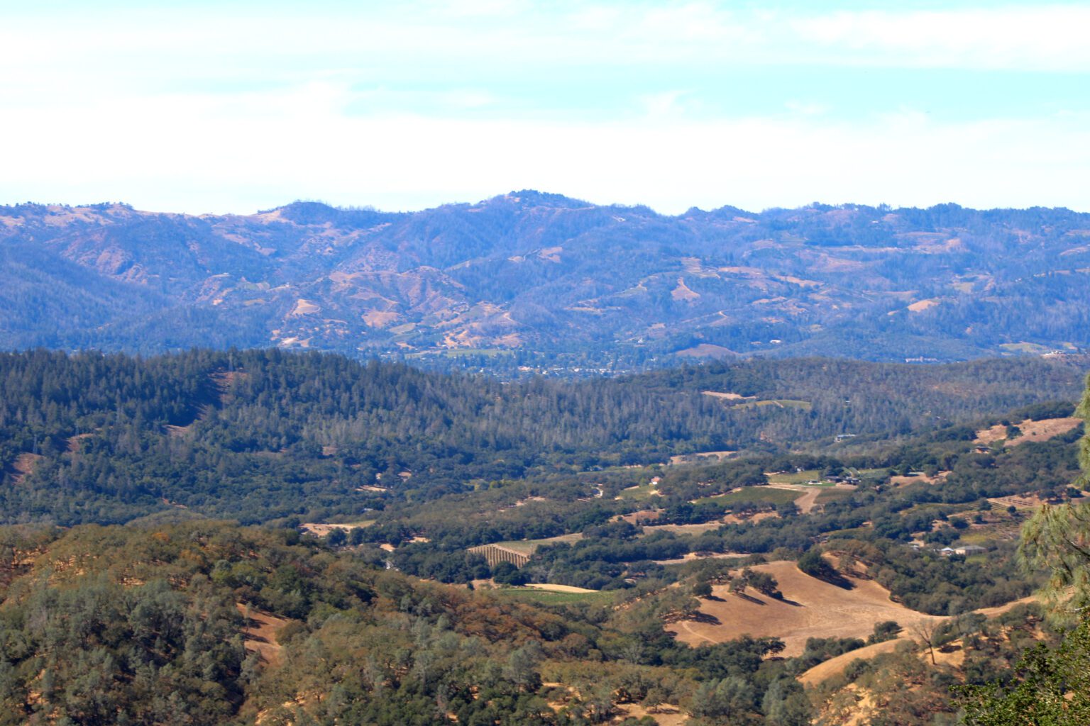 Napa Valley Vineyard Estate Building Site - Vintroux