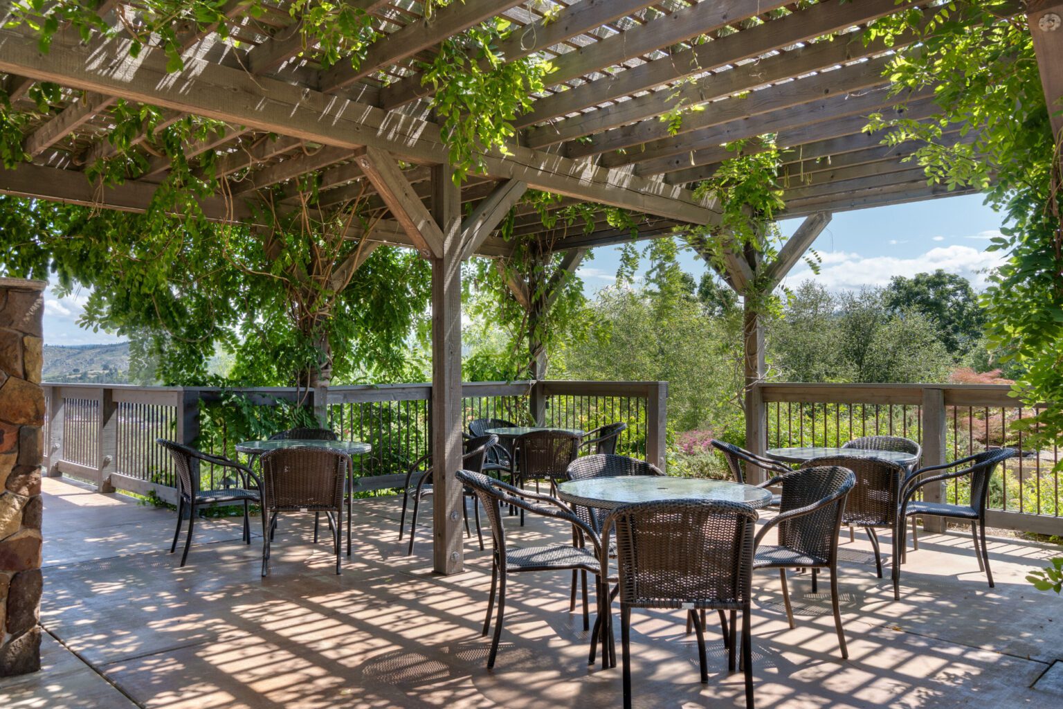 Pristine Winery For Sale, Tasting Room, Vineyard & Cottage - Vintroux