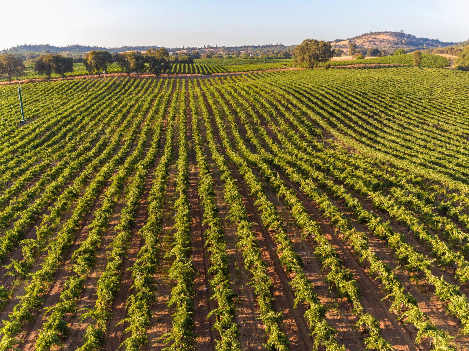 State of the Art Wine Production Facility - Vintroux